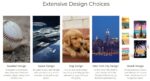 New Discover Card Designs 2026 - The Easy Way To Choose